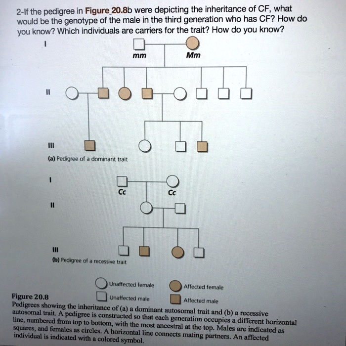 2-If the pedigree in Figure 20.8b were depicting the inheritance of CF ...