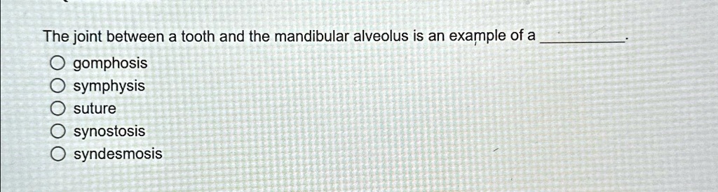 The joint between a tooth and the mandibular alveolus is an example of ...