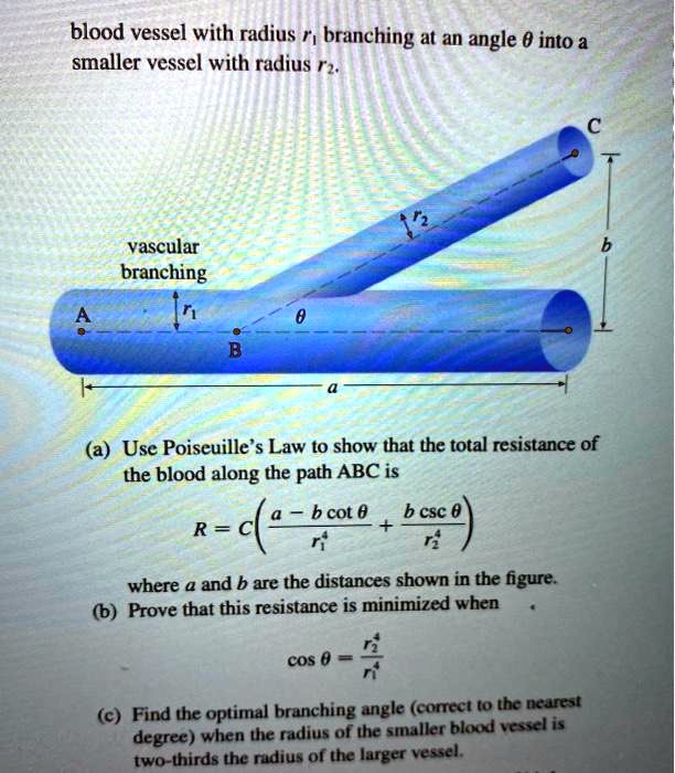 blood vessel with radius r branching at an angle 0 into a smaller ...