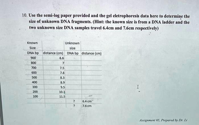 SOLVED: Use the semi-log paper provided and the gel electrophoresis data here to determine the ...