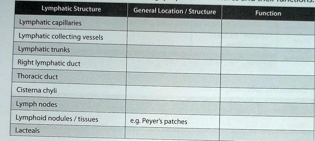 Text: Lymphatic Structure General Location/Structure Function Lymphatic ...