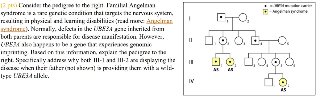 (2 pts) Consider the pedigree to the right. Familial Angelman syndrome ...