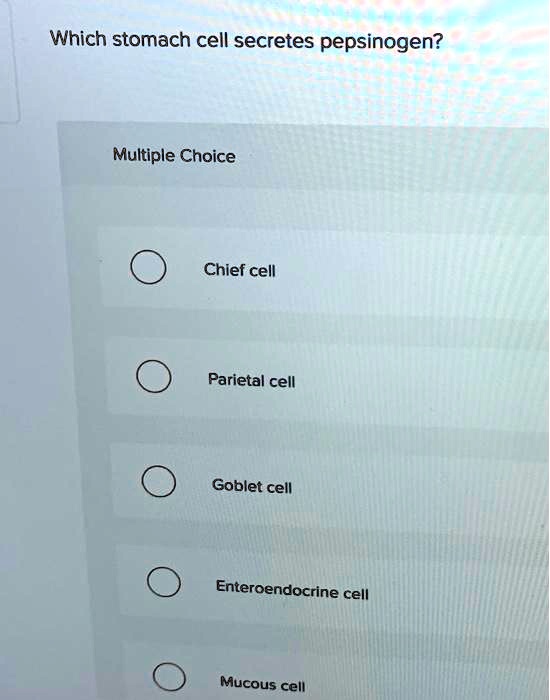SOLVED: Which stomach cell secretes pepsinogen? Multiple Choice Chief ...