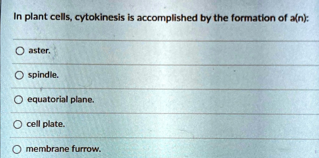 SOLVED: In plant cells, cytokinesis is accomplished by the formation of ...