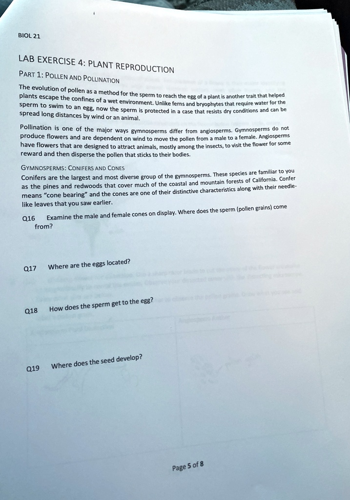 biol 21 lab exercise 4 plant reproduction part 1 pollen and pollination ...