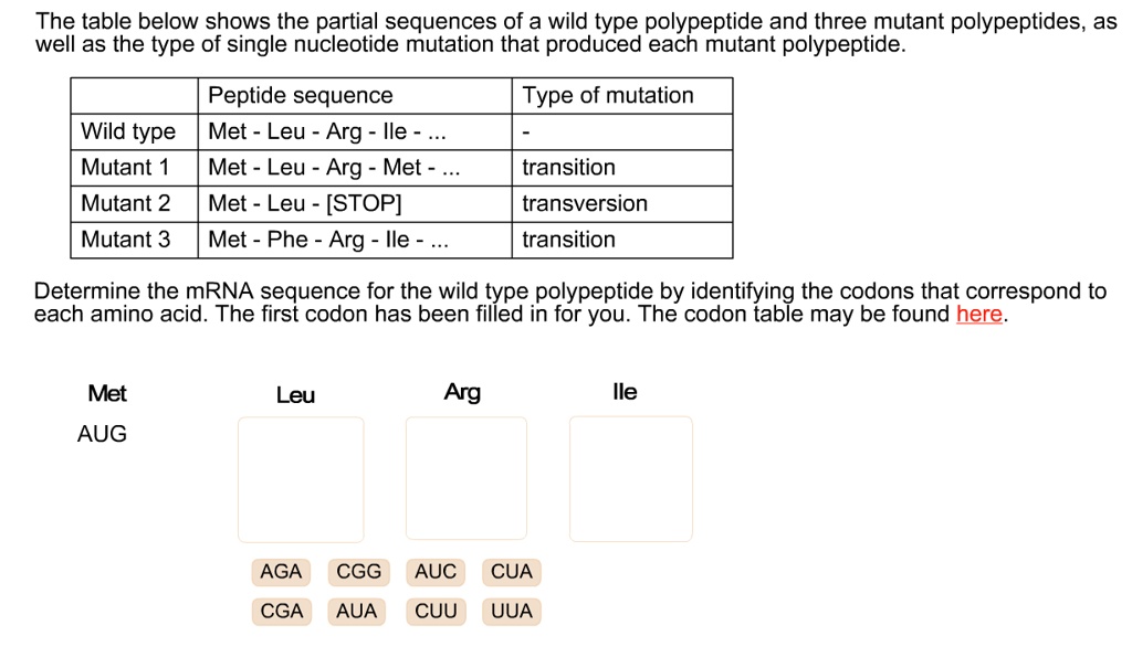 SOLVED: The table below shows the partial sequences of a wild type ...