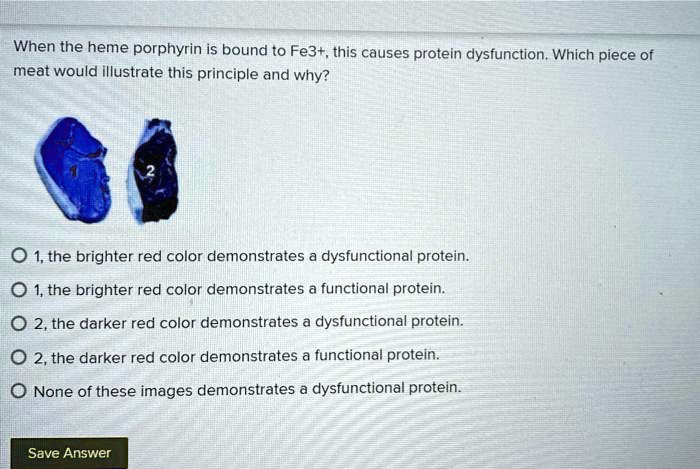SOLVED: When the heme porphyrin is bound to Fe3+, this causes protein ...