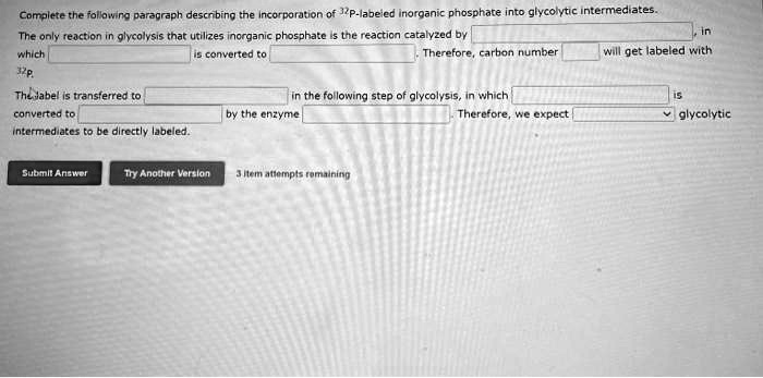 Complete the following paragraph describing the incorporation of ^32P ...