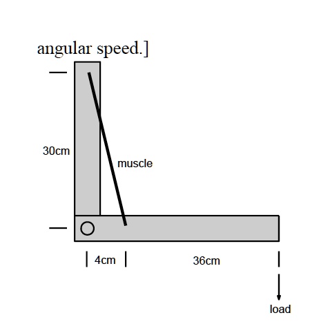angular speed.]