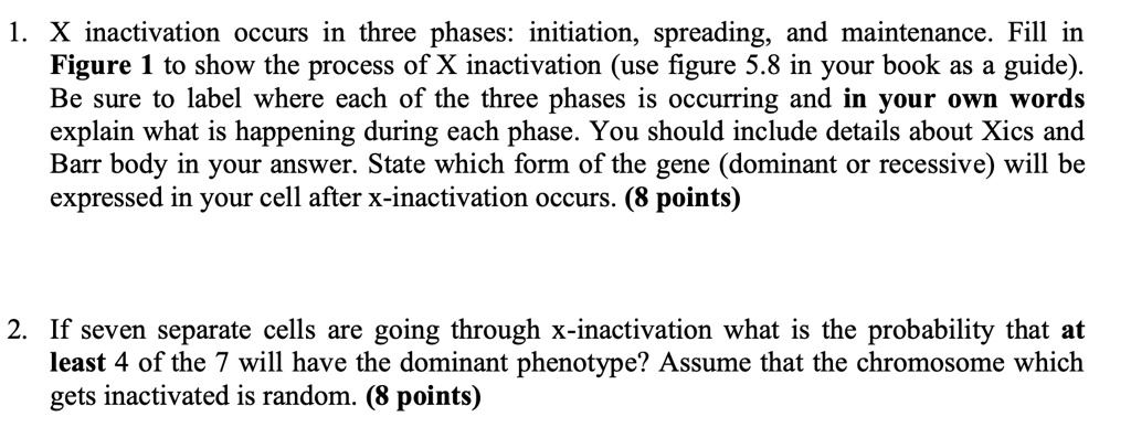 SOLVED: 1. X inactivation occurs in three phases: initiation, spreading ...
