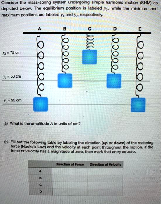 SOLVED: Consider the mass-spring system undergoing simple harmonic motion (SHM) as depicted ...