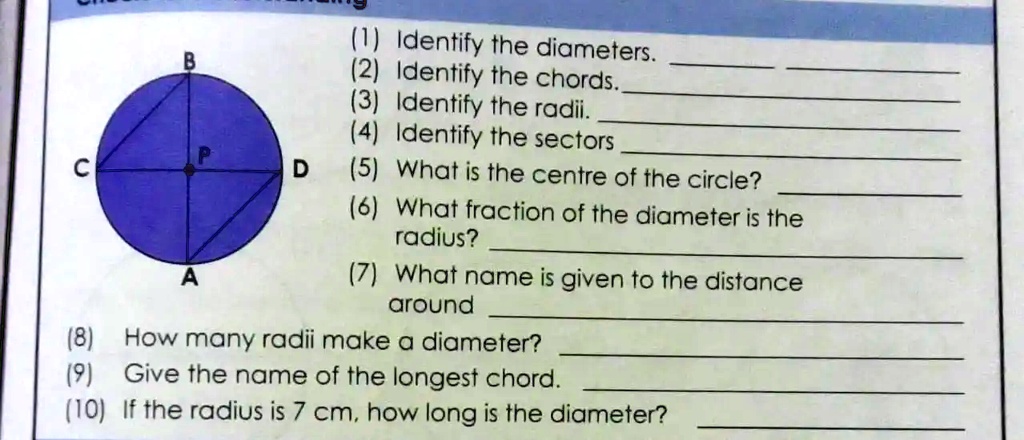 (1) Identify the diameters. (2) Identify the chords. (3) Identify the ...