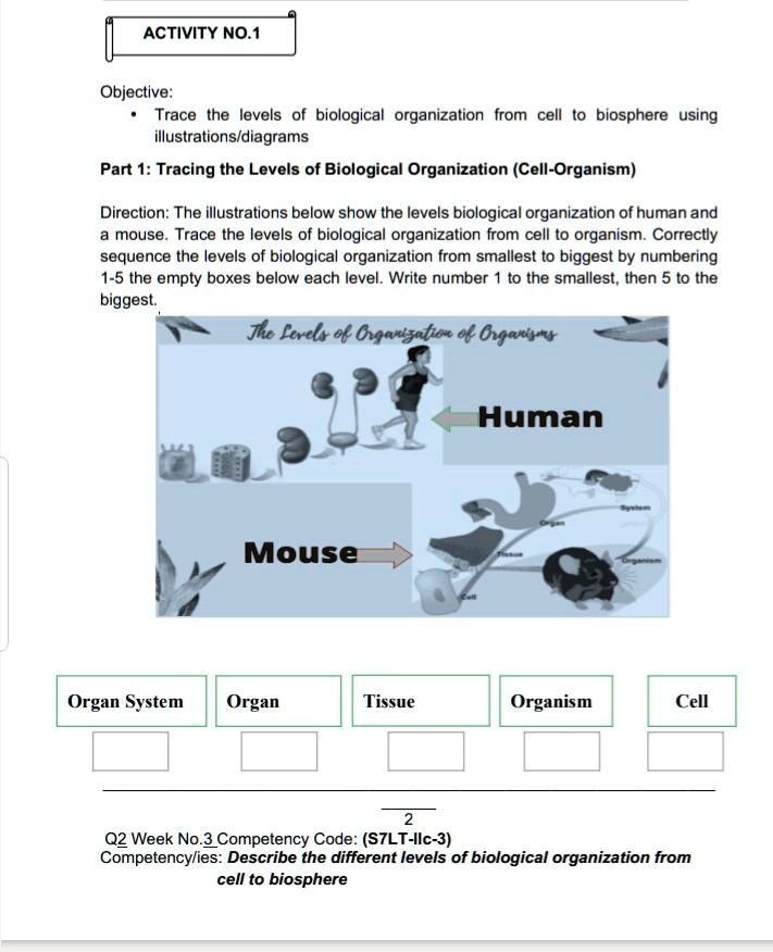 ACTIVITY NO.1 Objective: • Trace the levels of biological organization ...
