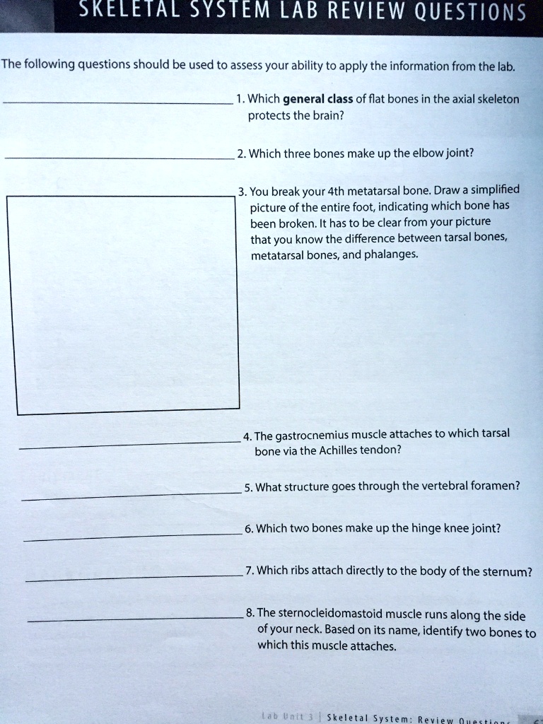 SOLVED: SKELETAL SYSTEM LAB REVIEW QUESTIONS The following questions should be used to assess ...