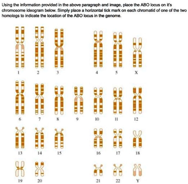 using the information provided in the above paragraph and image place ...