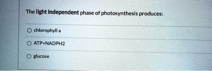 SOLVED: The light independent phase of photosynthesis produces ...