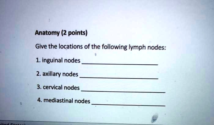 SOLVED: Anatomy (2 points) Give the locations of the following lymph nodes: inguinal nodes ...