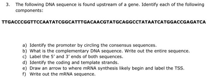 Write The Complementary Sequence For The Following Dna Sequence, In ...