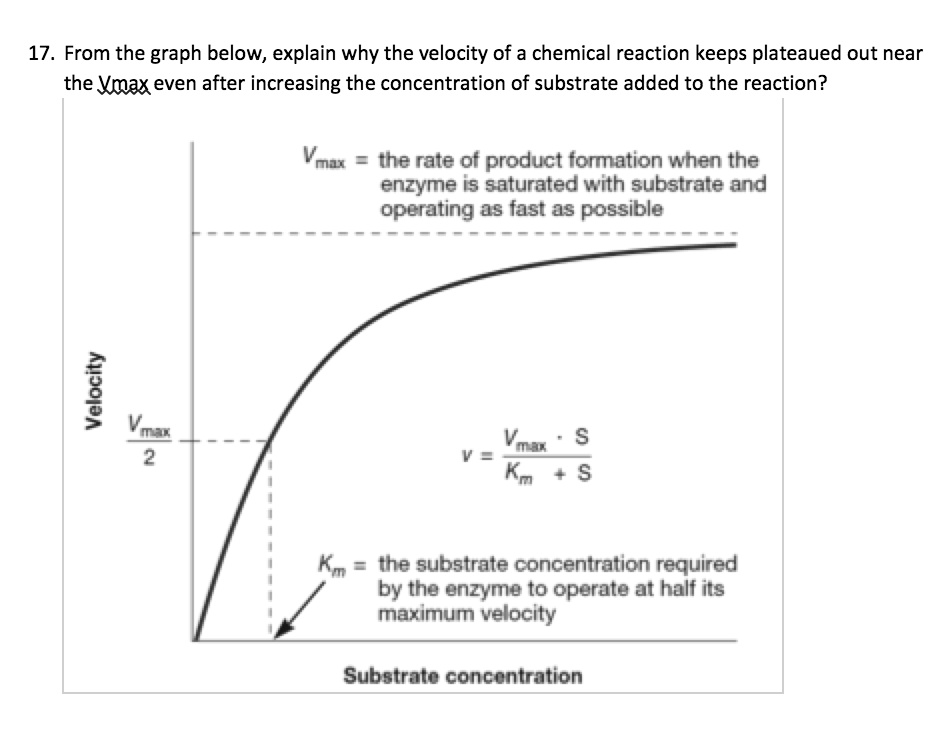 SOLVED: 17 From the graph below, explain why the velocity of a chemical ...