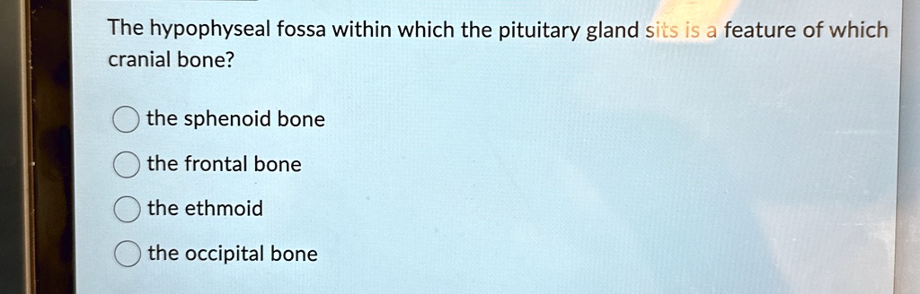 the hypophyseal fossa within which the pituitary gland sits is a ...