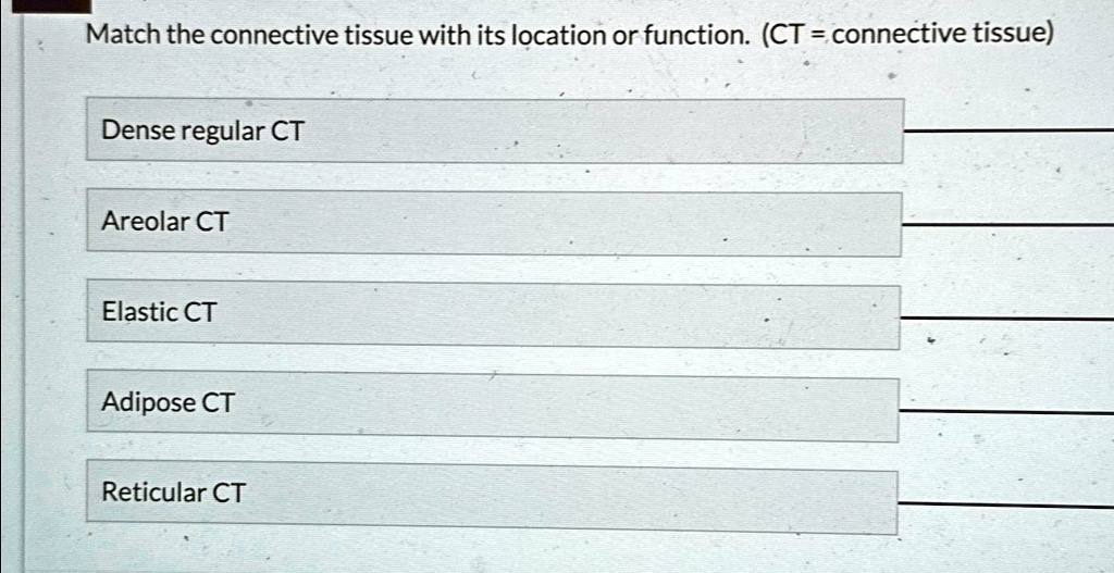 [GET ANSWER] Match the connective tissue with its location or function ...