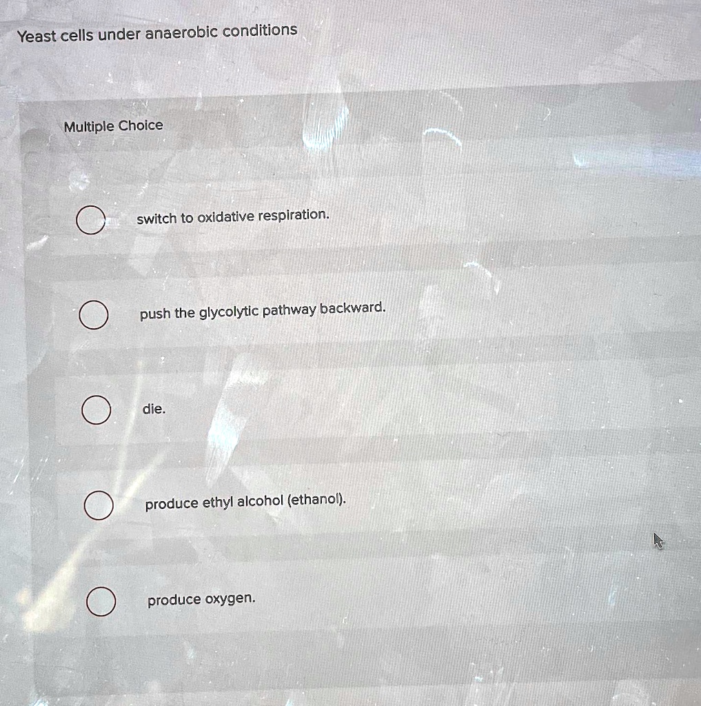 SOLVED: Yeast cells under anaerobic conditions Multiple Choice switch ...