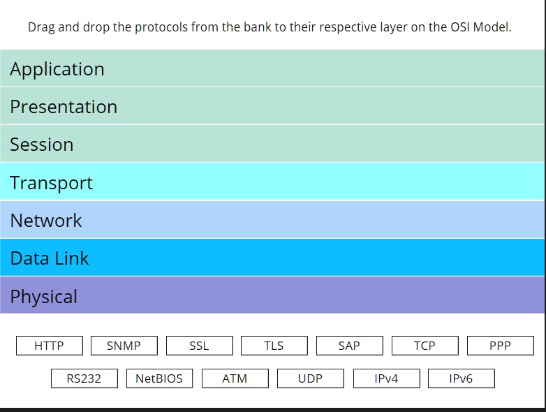 Drag and drop the protocols from the bank to their respective layer on ...