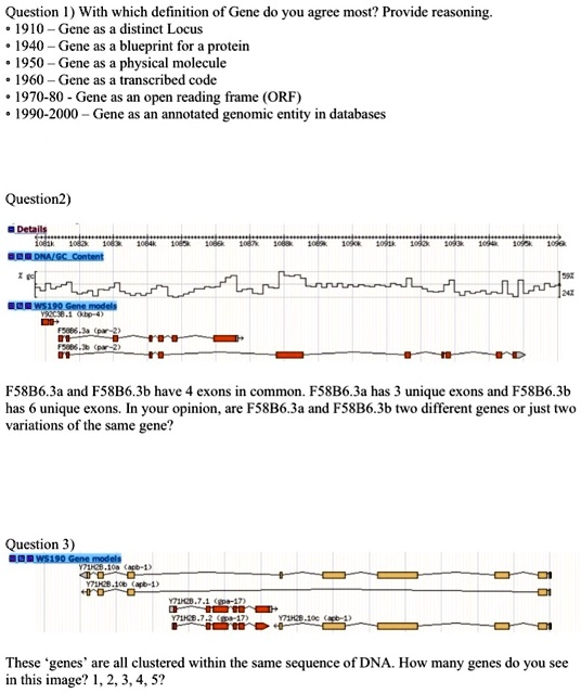 SOLVED: Question 1) With which definition of Gene do you agree most ...
