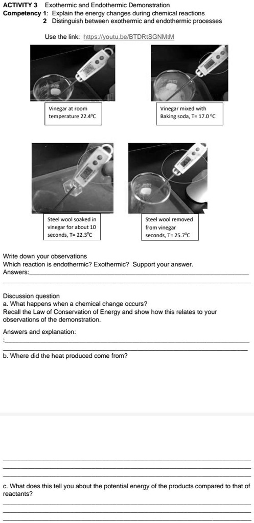 SOLVED: ACTIVITY 3: Exothermic and Endothermic Demonstration Competency ...