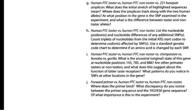 SOLVED: Human PTC taster vs human PTC non-taster vs. 22 basepair ...