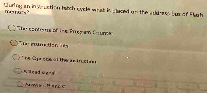 SOLVED: During an instruction fetch cycle what is memory? placed on the address bus of Flash The ...