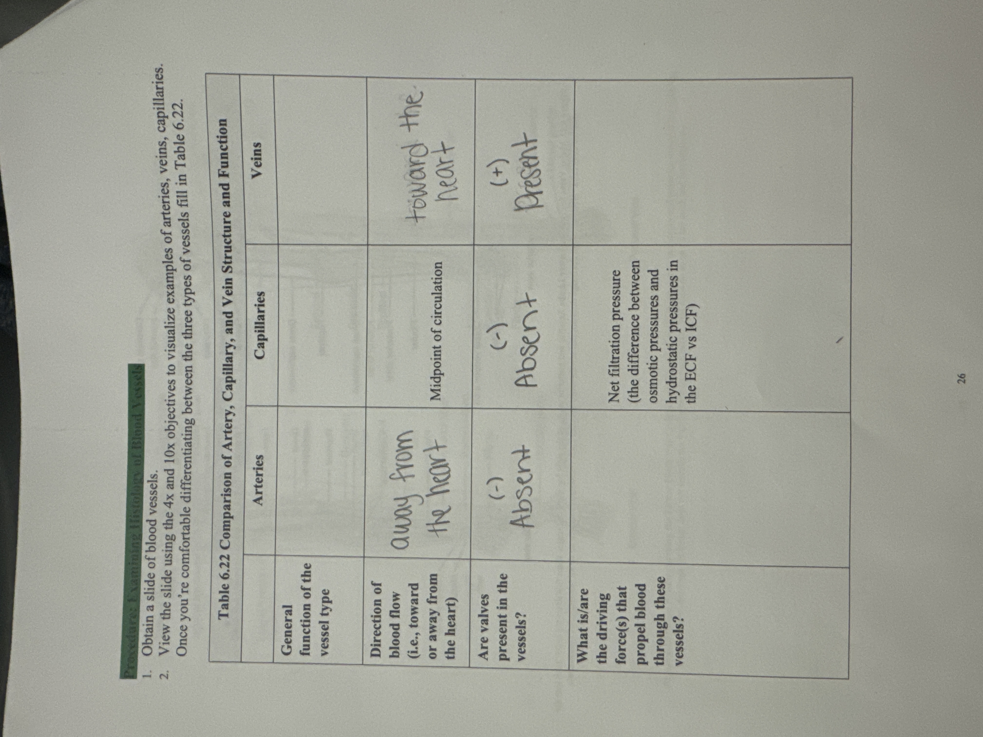1. Obtain a slide of blood vessels. 2. View the slide using the 4 x and ...