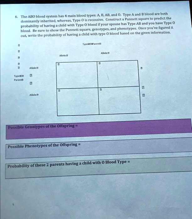 SOLVED: The ABO blood system has main blood types: A, B, AB, and Type O ...