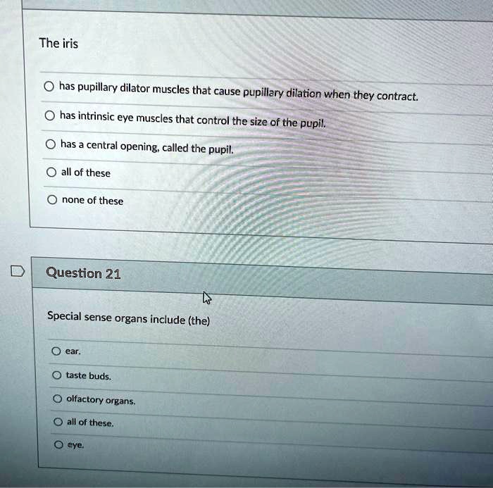 The iris ? has pupillary dilator muscles that cause pupillary dilation ...