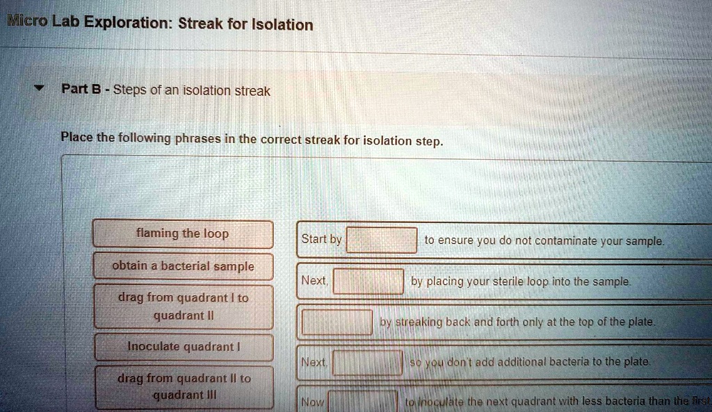 Micro Lab Exploration: Streak for Isolation Part B - Steps of an isolation streak Place the ...