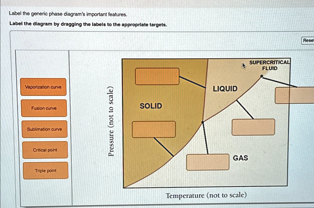 SOLVED: Label the generic phase diagram's important features. Label the diagram by dragging the ...