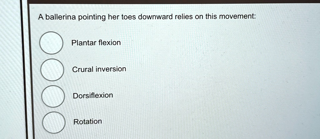 a ballerina pointing her toes downward relies on this movement plantar ...