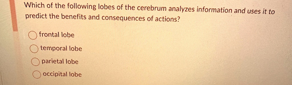 Which of the following lobes of the cerebrum analyzes information and ...