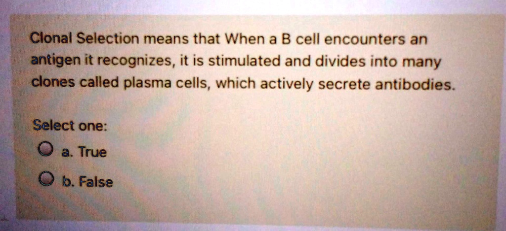 Clonal Selection means that When a B cell encounters an antigen it ...