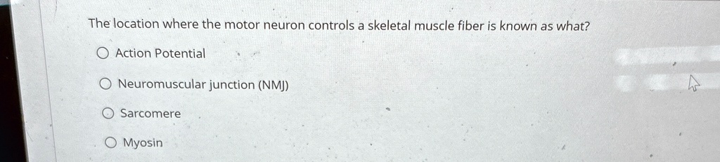 the location where the motor neuron controls a skeletal muscle fiber is ...