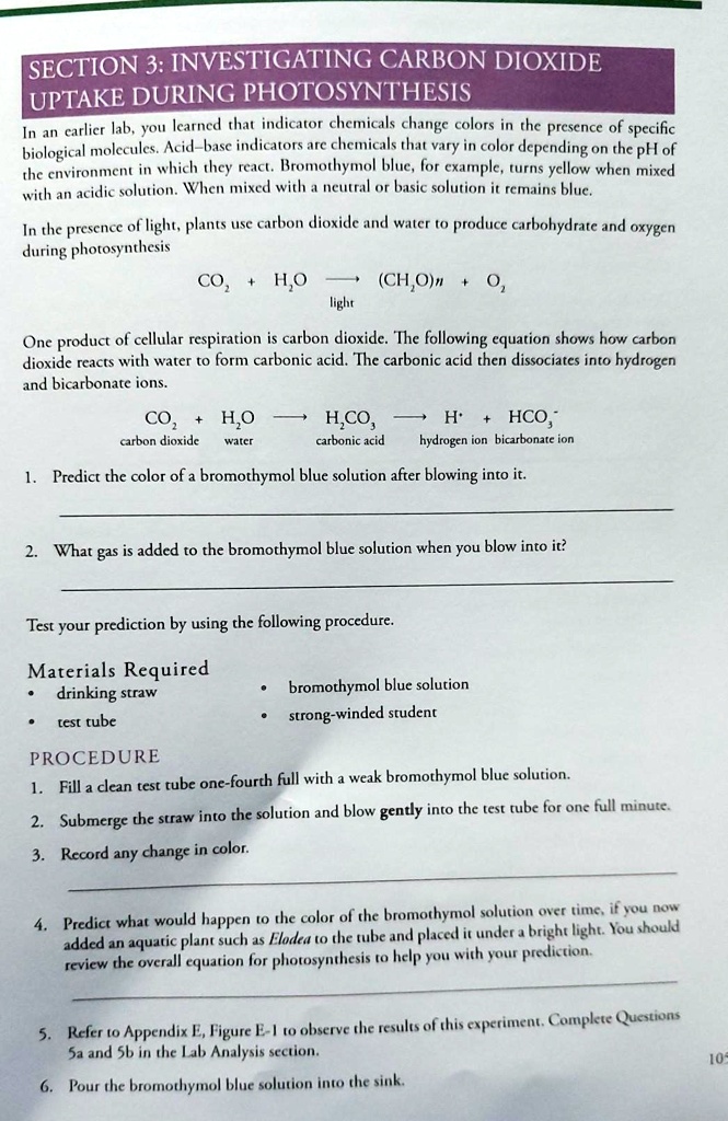SOLVED: SECTION 3: INVESTIGATING CARBON DIOXIDE UPTAKE DURING ...