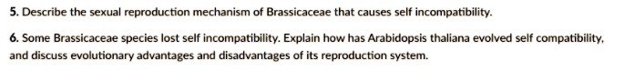 SOLVED: Describe the sexual reproduction mechanism of Brassicaceae that ...
