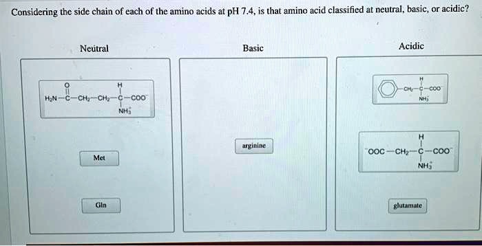 Considering the side chain of each of the amino acids at pH...