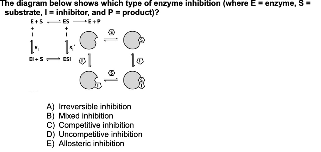 the diagram below shows which type of enzyme inhibition where e enzyme ...