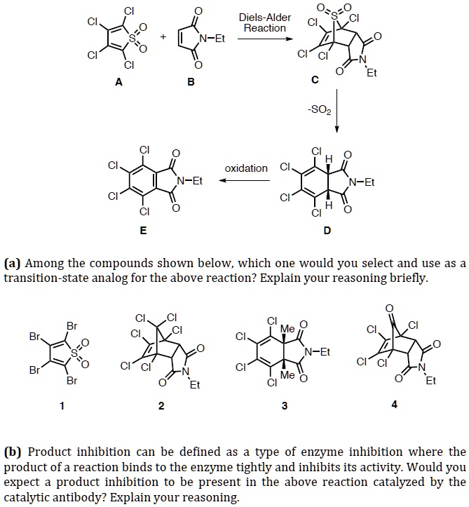 SOLVED: Diels-Alder Reaction N-Et oxidation N-Et (a) Among the ...