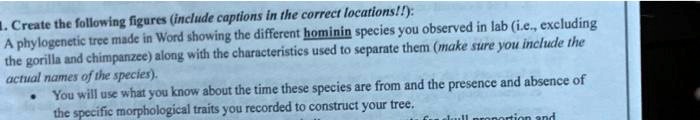 SOLVED: Create a phylogenetic tree for the following species ...