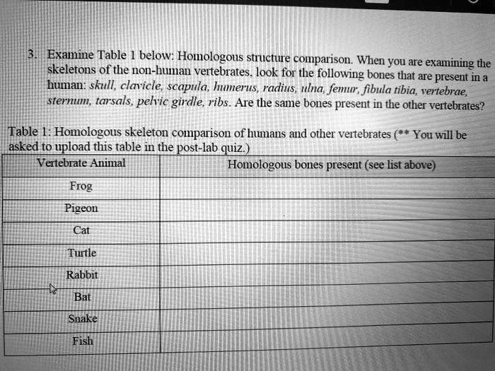 3. Examine Table 1 below: Homologous structure comparison. When you are ...