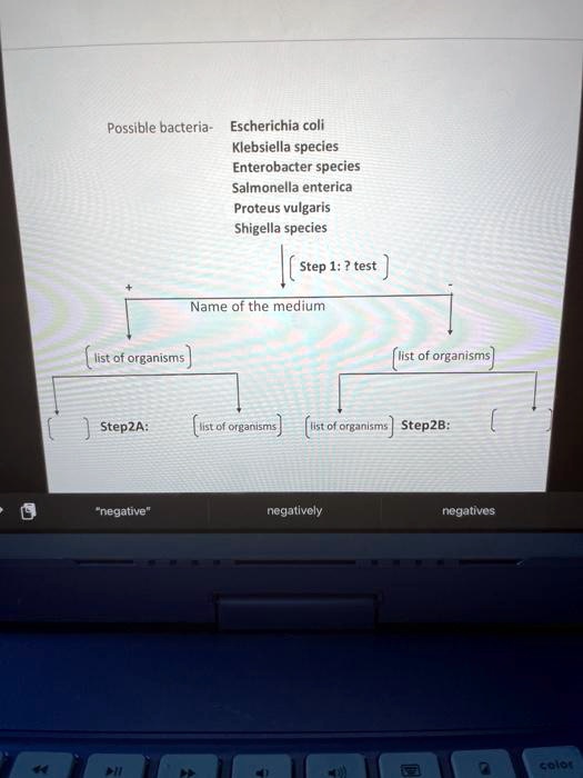 possible bacteria escherichia coli klebsiella species enterobacter ...