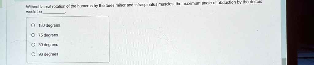 without lateral rotation of the humerus by the teres minor and ...