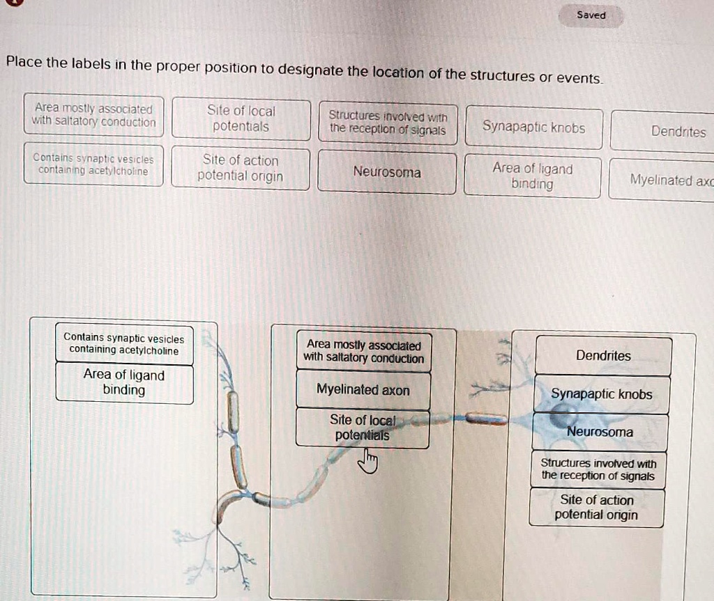 saved place the labels in the proper position to designate the location ...